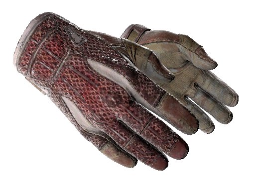 Buy CS:GO/CS2 Sport Gloves Slingshot Skins | SkinBaron